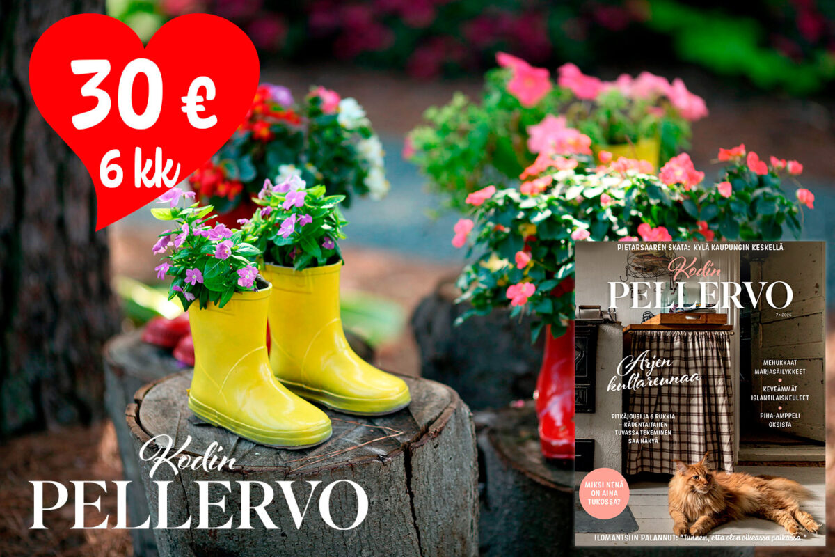 Kodin Pellervon tarjous uutiskirjeen lukijoille - Kodin Pellervo